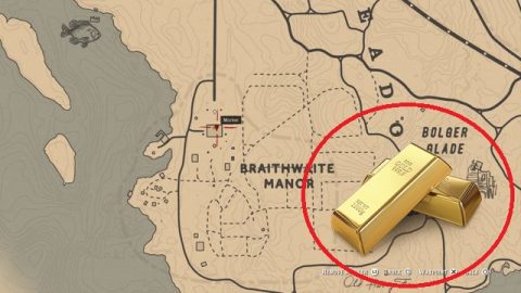 rdr2-goldbarren-locations | Devbix